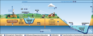 9 Site Risk Assessment – PFAS — Per- and Polyfluoroalkyl Substances