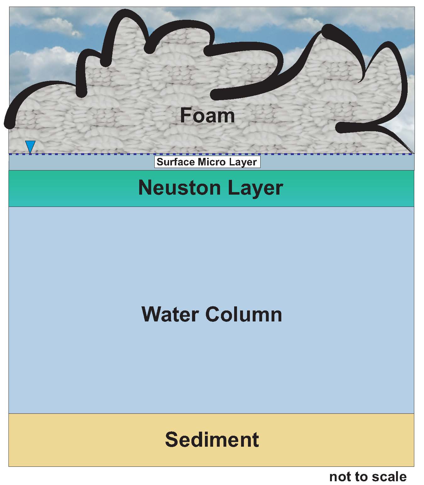 16 Surface Water Quality – PFAS — Per- and Polyfluoroalkyl Substances