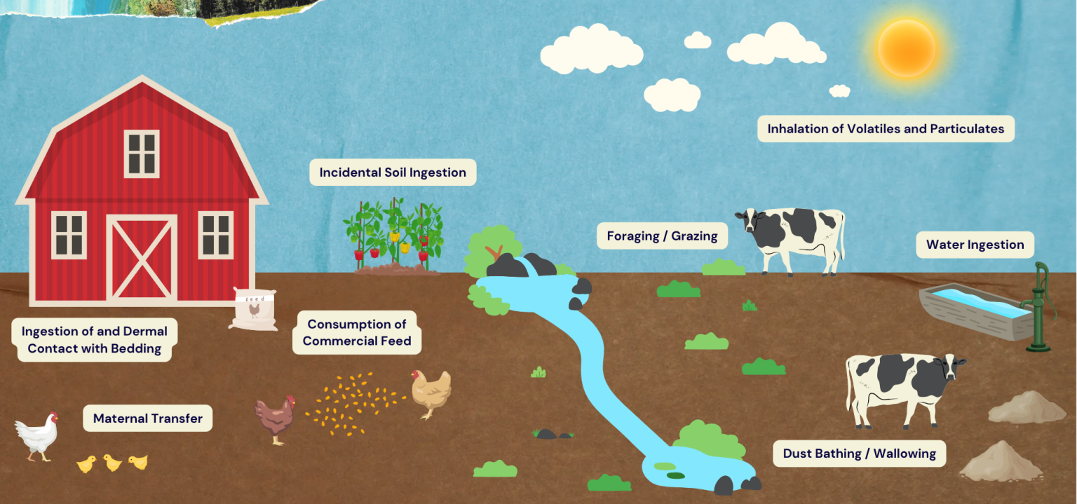 1.4 Priority Topics for Human and Ecological Health Effects – PFAS ...